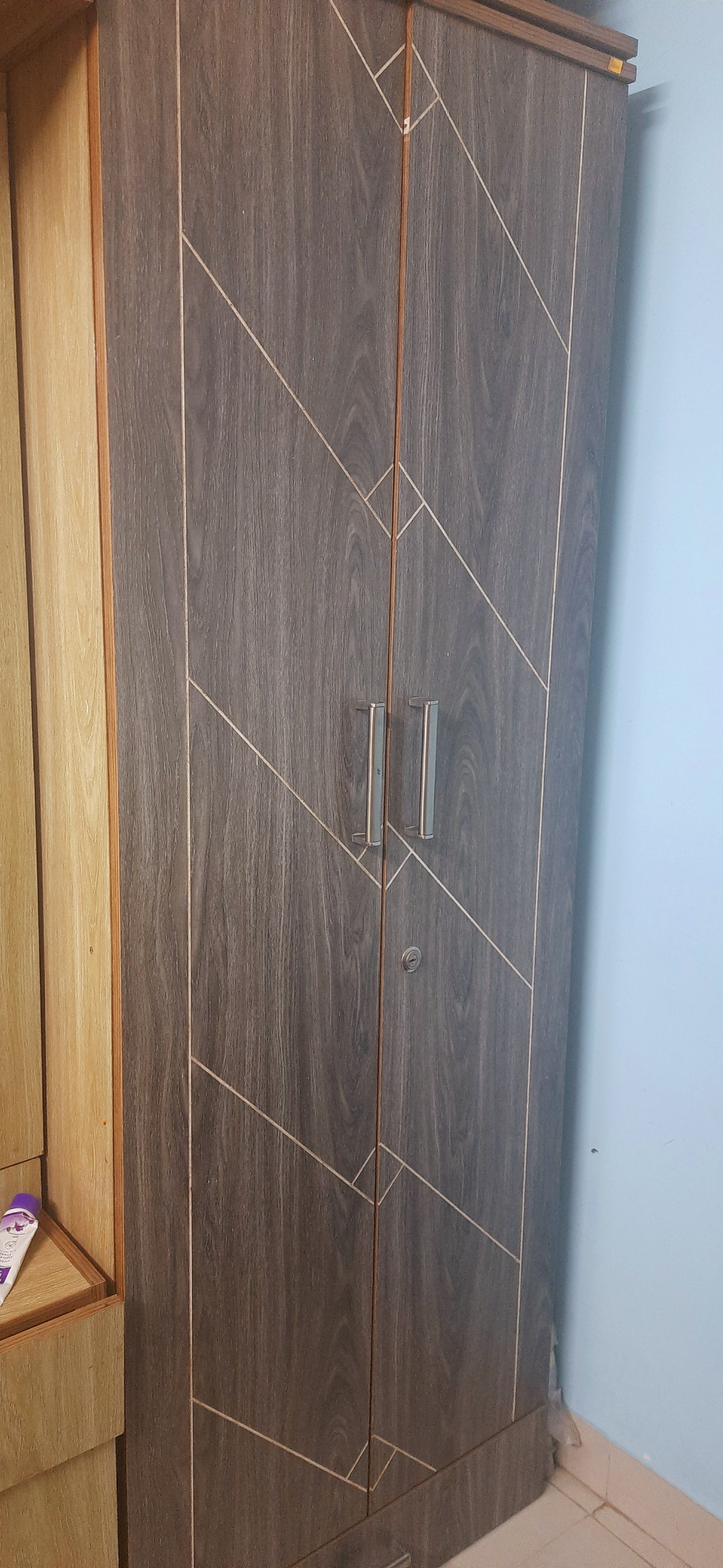 Google Lens VS MobileNet